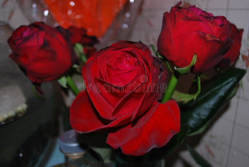 Three Red Roses Bouquet of Flowers Stock Photo - Image of yellow, peony ...