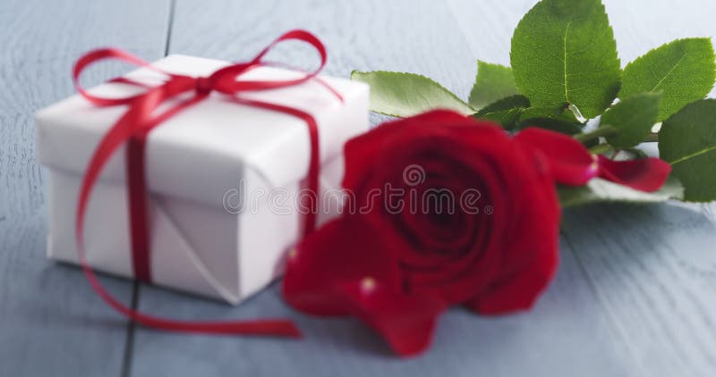 Three Red Roses with Gift Box on Blue Wood Table Focus Pull Stock ...