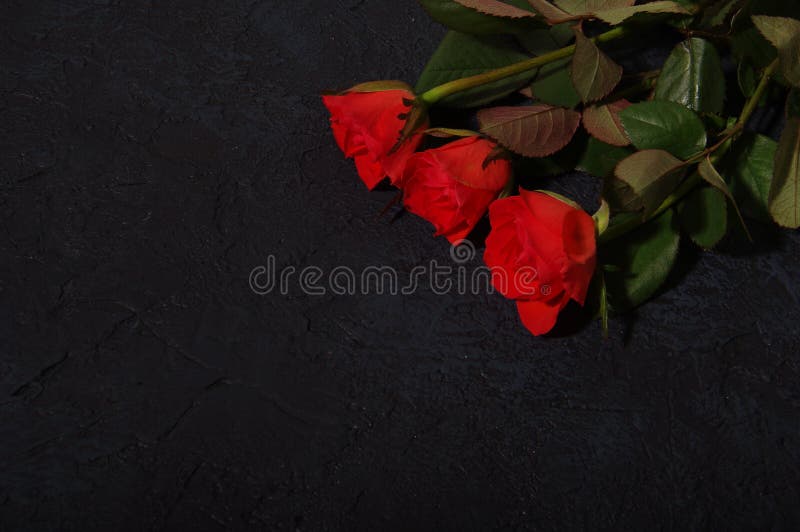 Three Red Roses are on the Table Dark Background Stock Image - Image of ...