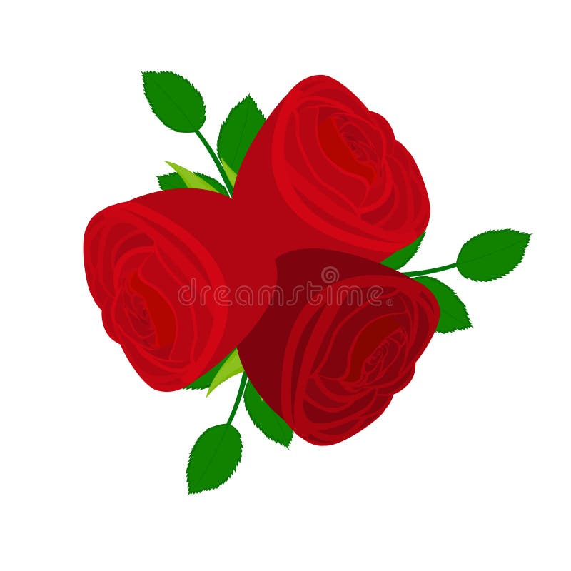 Bouquet of Red Roses on a White Background Stock Vector - Illustration ...