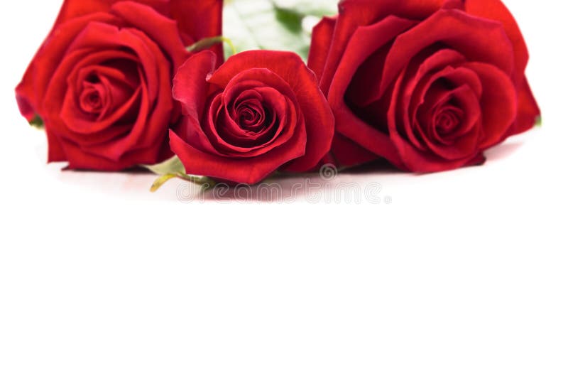 Three Red Roses on Long Stems and Heart on White Wood, Love Card Stock ...