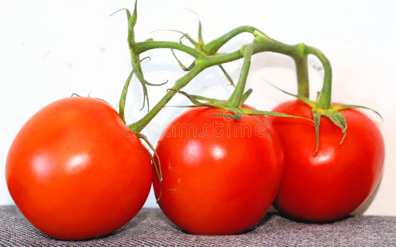 Three Red Tomatoes and Golden Peppers Stock Photo - Image of bright ...
