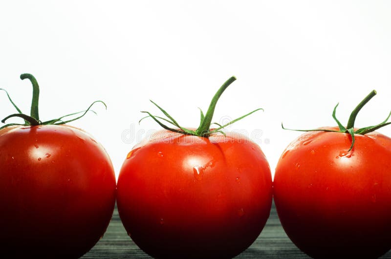 Three Red Tomatoes Standing in a Row Stock Photo - Image of agriculture ...