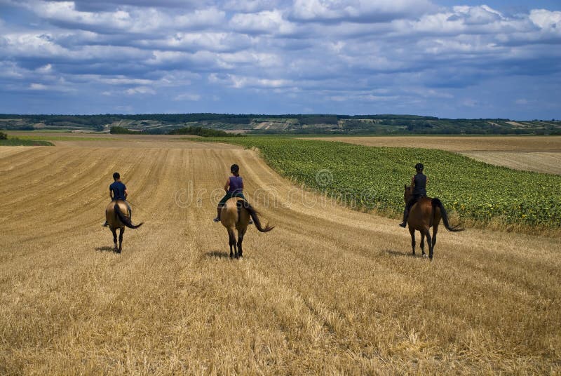 THREE GIRLS RIDING HORSES Picture. Image: 99338614