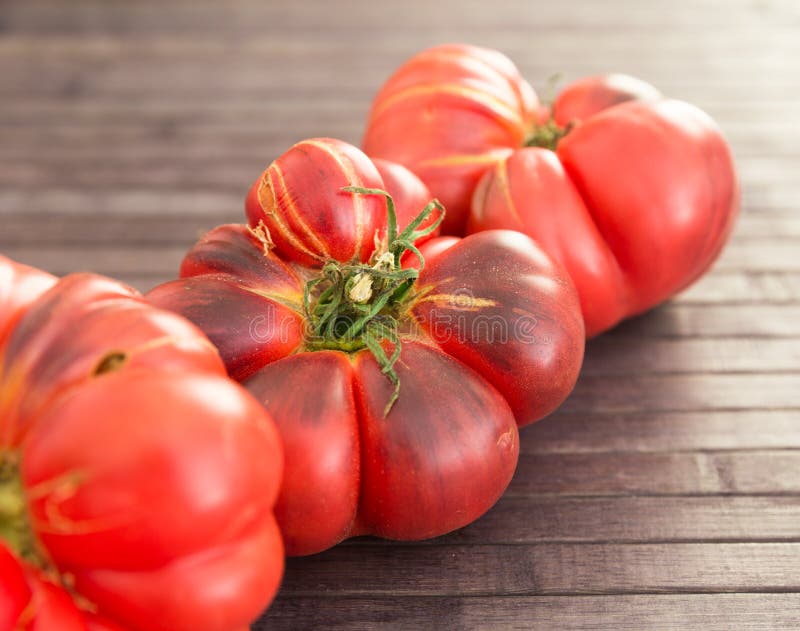 Fresh red merinda tomato stock image. Image of tomatoes - 90741575