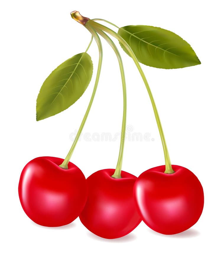 Three Ripe Cherries with Leaf. Vector. Stock Vector - Illustration of ...