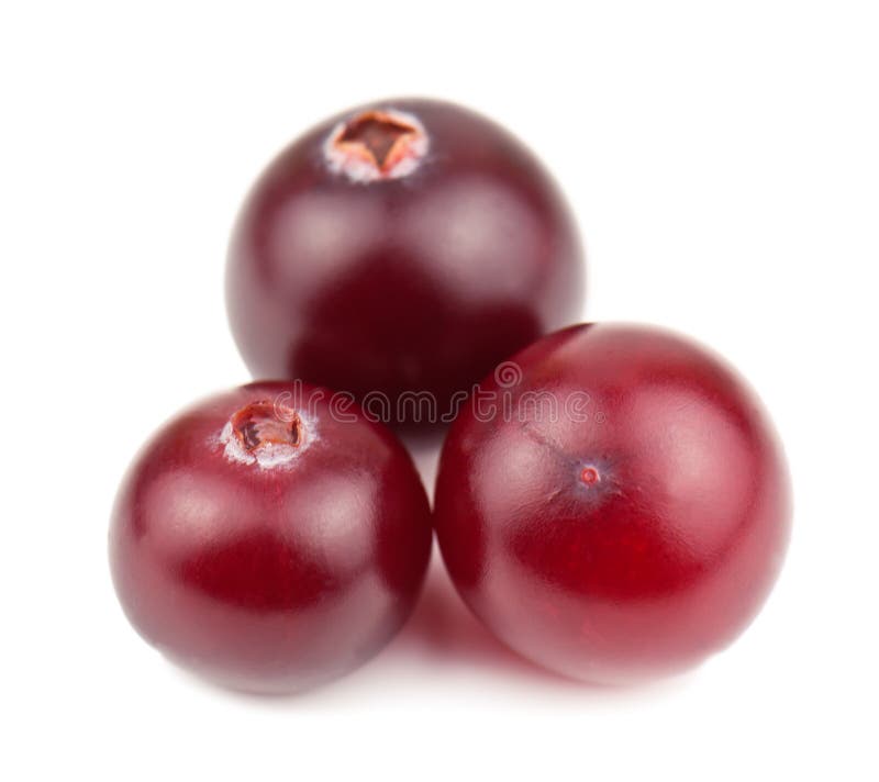 Three ripe cranberry stock image. Image of objects, crop - 30795613
