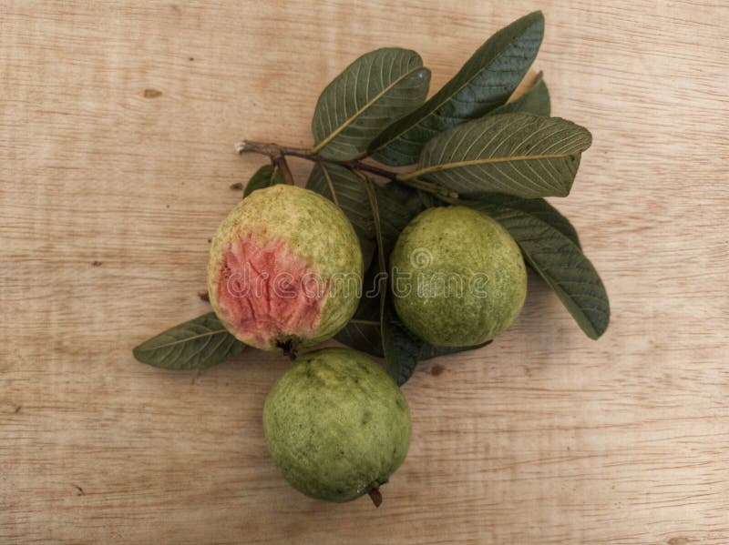 Three Ripe Guava Fruit on the Table Stock Photo - Image of three, ripe ...