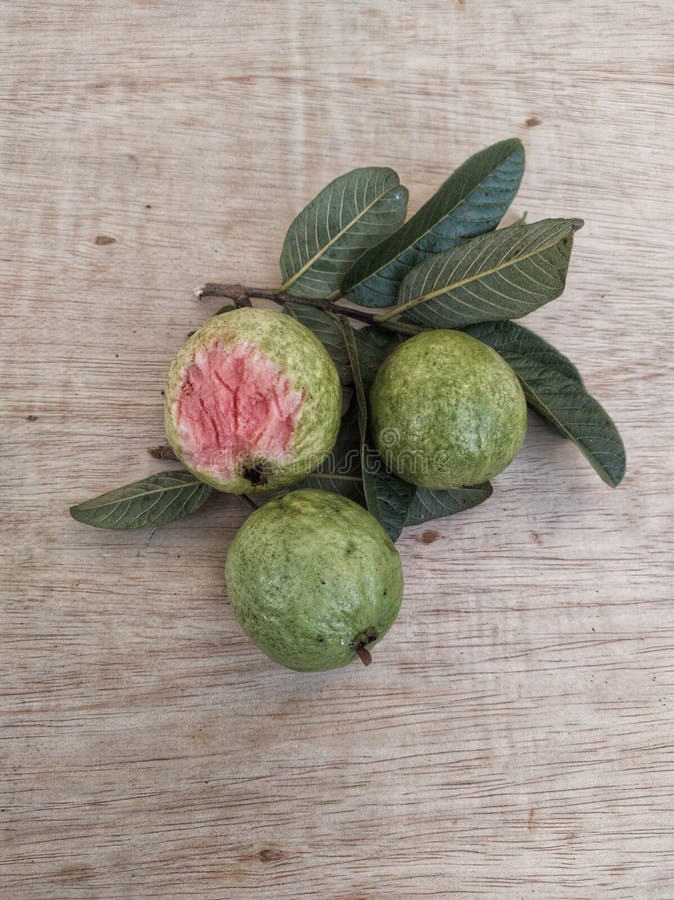 Three Ripe Guava Fruit on the Table Stock Image - Image of ripe, table ...
