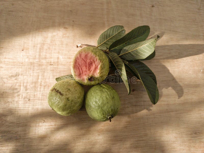 Three Ripe Guava Fruit on the Table Stock Photo - Image of ripe, guava ...