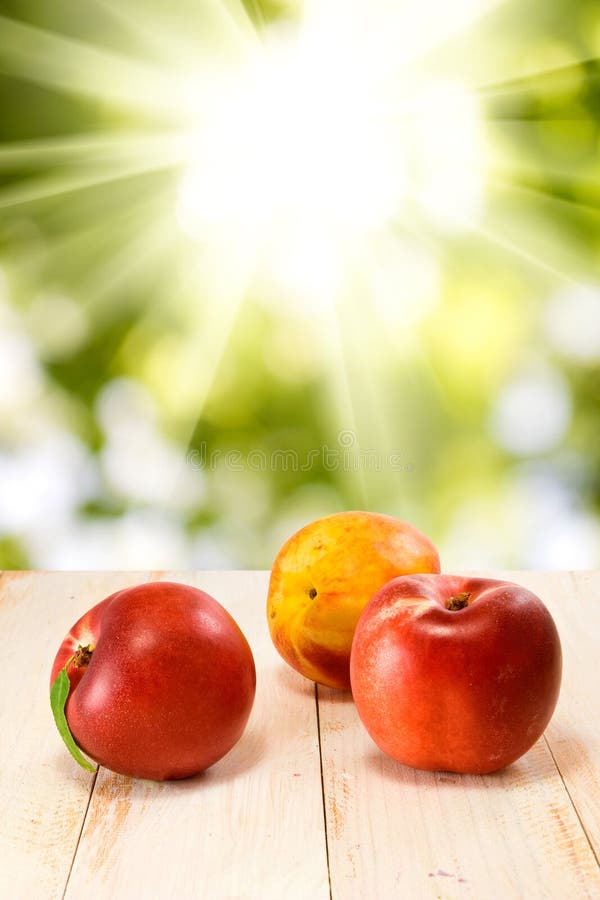 Three Ripe Nectarine Against the Sun Closeup Stock Photo - Image of ...
