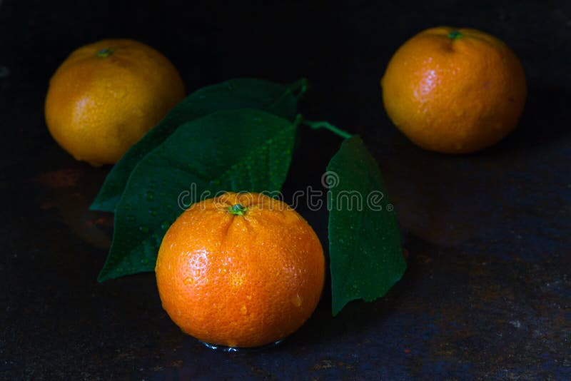 Three Ripe Oranges on a Table in a Dark Mood Stock Photo - Image of ...