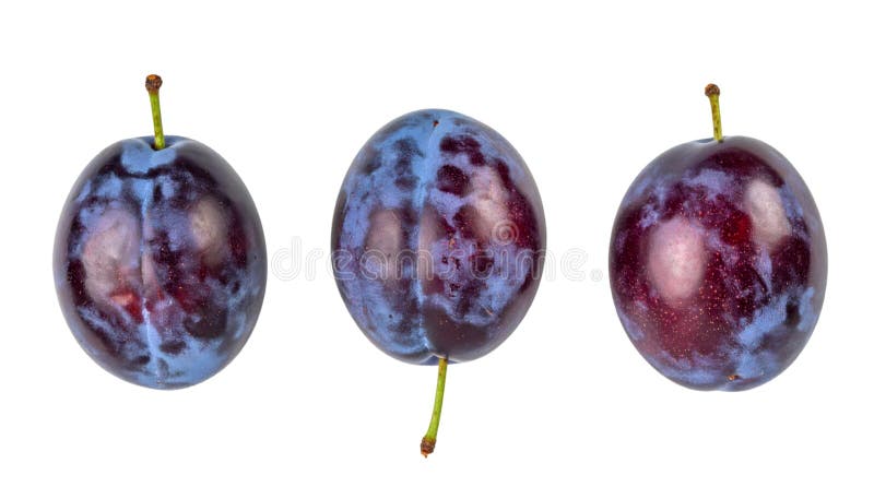 Three Ripe Plums Rotating on Transparent Background Stock Image - Image ...