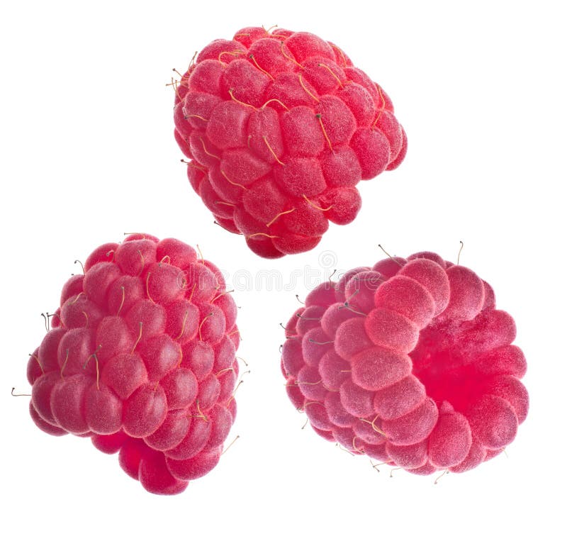 Three Ripe Raspberries Isolated on White Stock Photo - Image of close ...