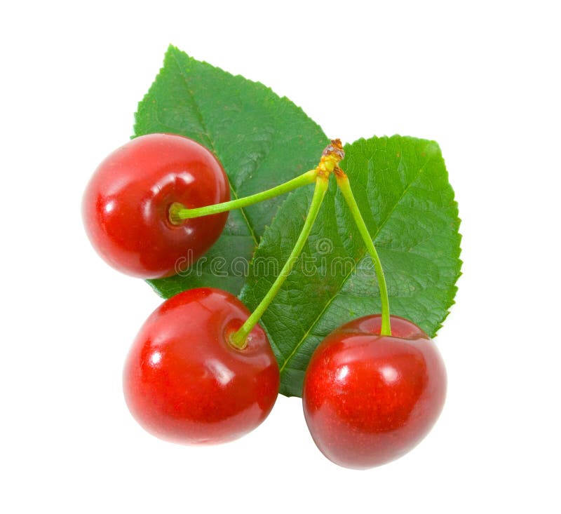 Ripe Cherry Corner Border with Copy Space Stock Photo - Image of ...