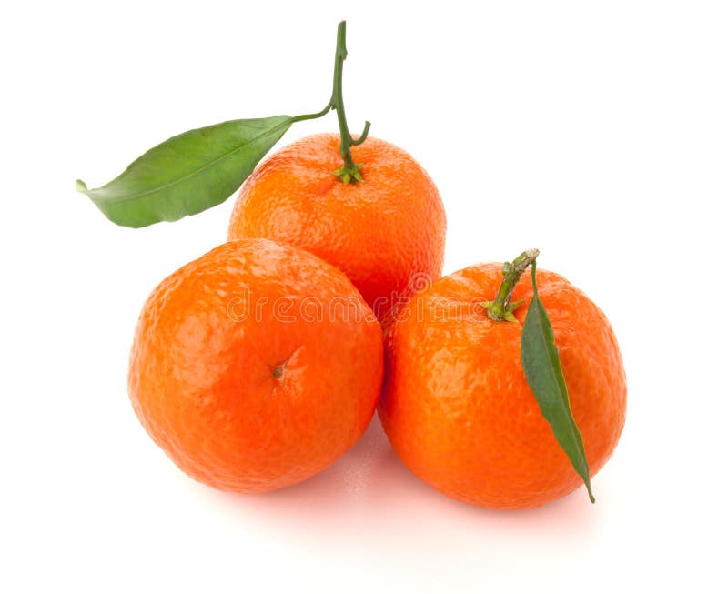 Three Ripe Blackberries with Leaves Stock Photo - Image of gourmet ...