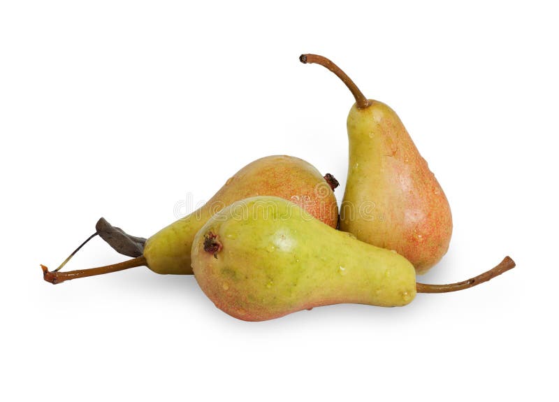 Yellow pear stock image. Image of healthy, yield, yellow - 30002597