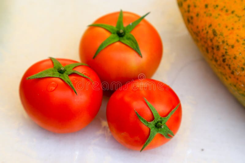 Three Fully Ripe Tomatoes Left on Vine Past Picking Date in Local Home ...