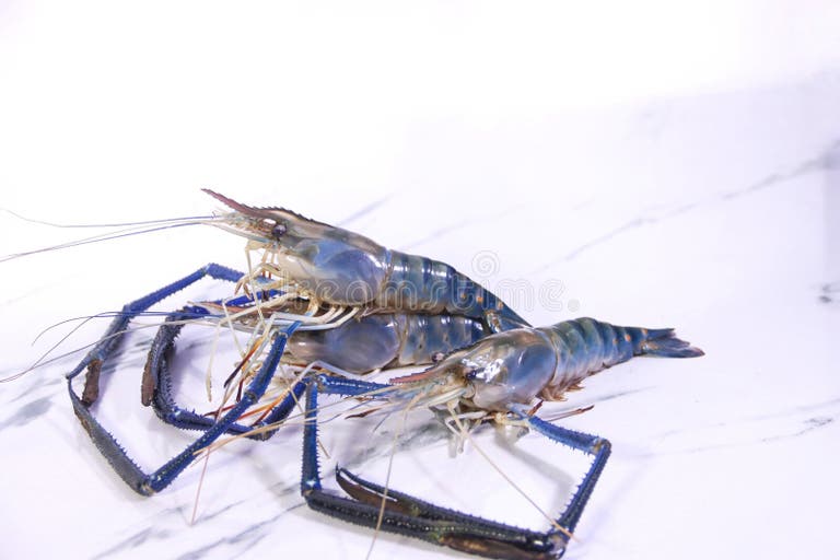 Three River Prawns with Claw Meditation Pose and Riding on Marble ...