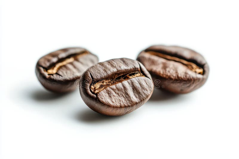 Three Roasted Coffee Beans on a White Background, Showcasing Texture ...