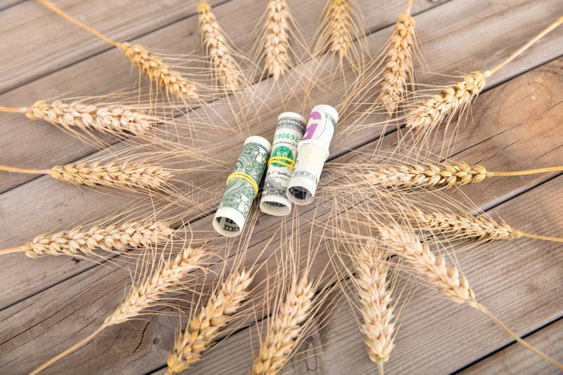 Three Rolls of Dollar Bills are Placed in a Circle Formed by Ears of ...