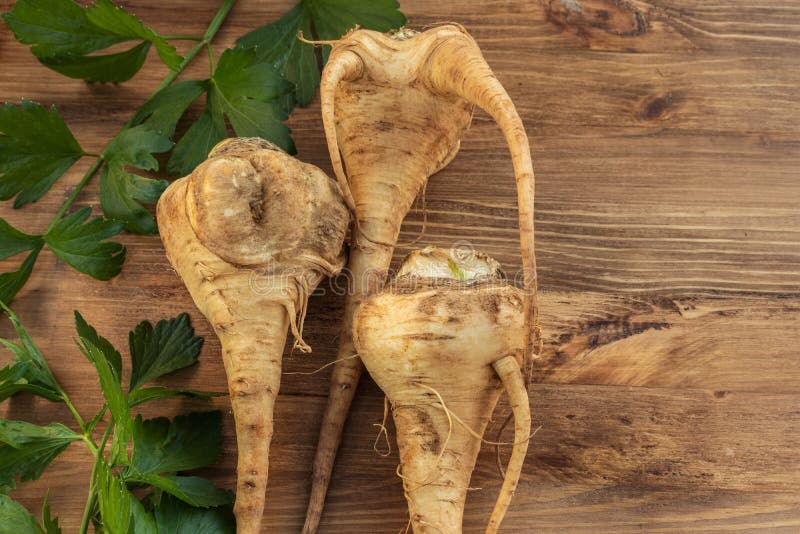Three Root Crops of Parsnip on a Light Brown Wooden Surface Stock Photo ...