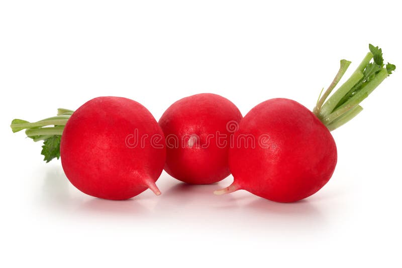 Three root red radishes stock image. Image of kitchen - 146780079
