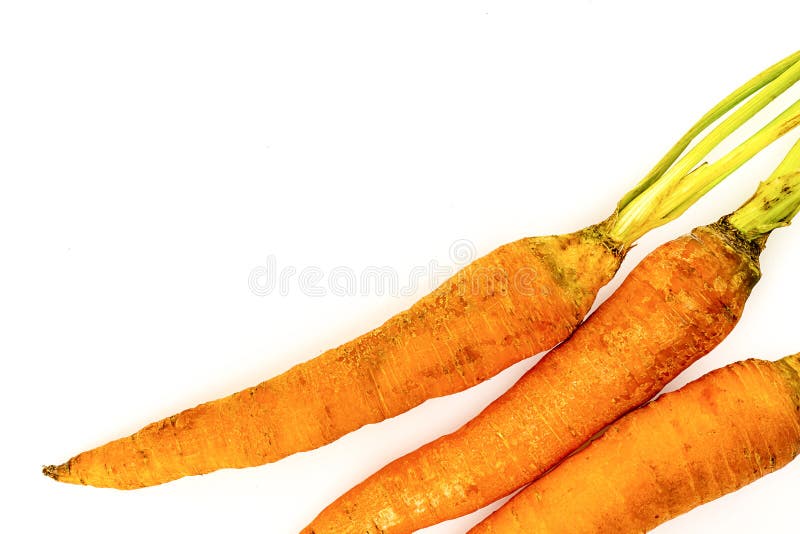Three Root Vegetables Carrots Orange Long Lie on a White Background ...