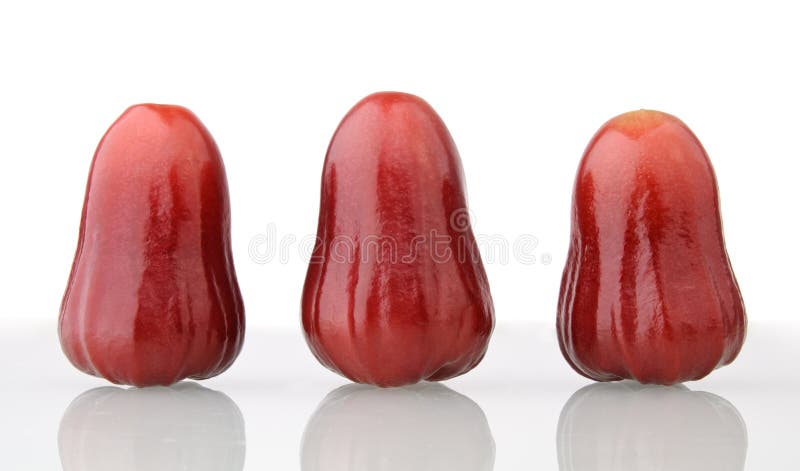 Three Red Rose Petals Isolated on White Background Stock Image - Image ...