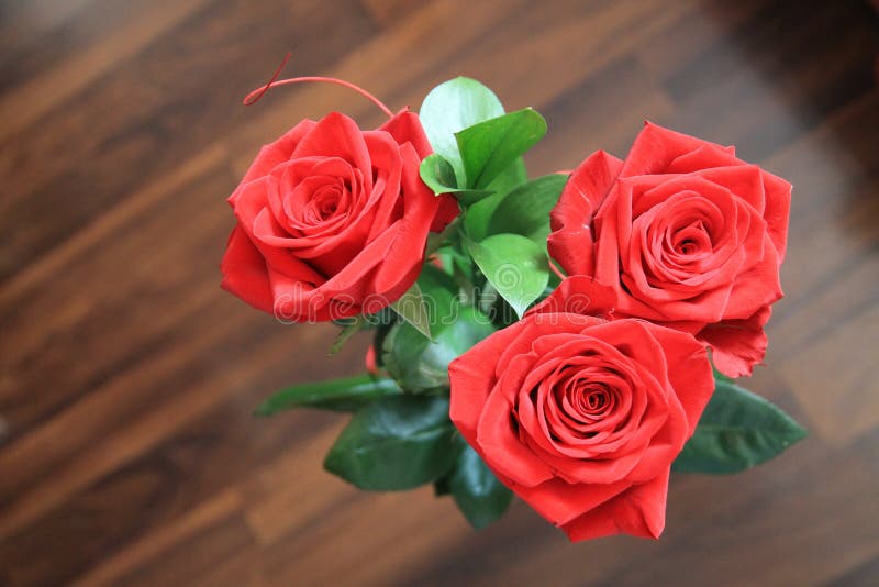 Three rose stock photo. Image of valentines, romantic - 60680294