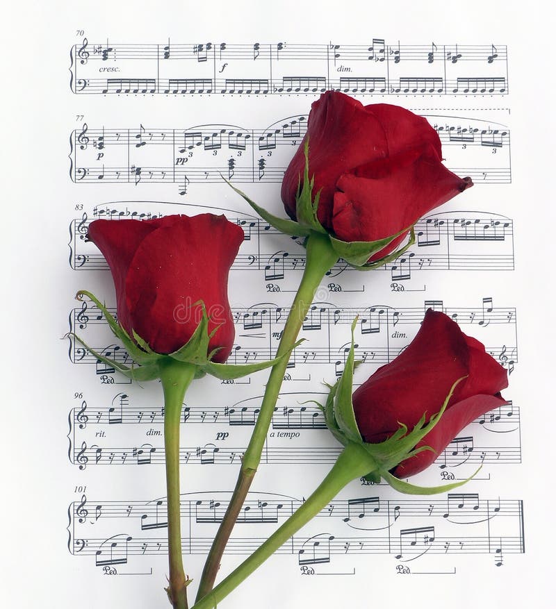 Rose and Music stock photo. Image of flower, clef, romance - 254878