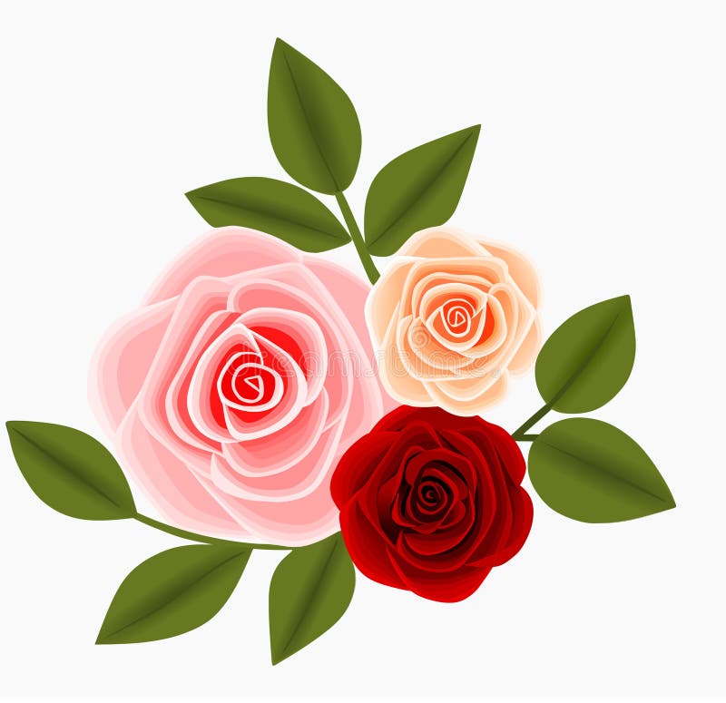 Three Roses and Leaves Decoration Stock Illustration - Illustration of ...