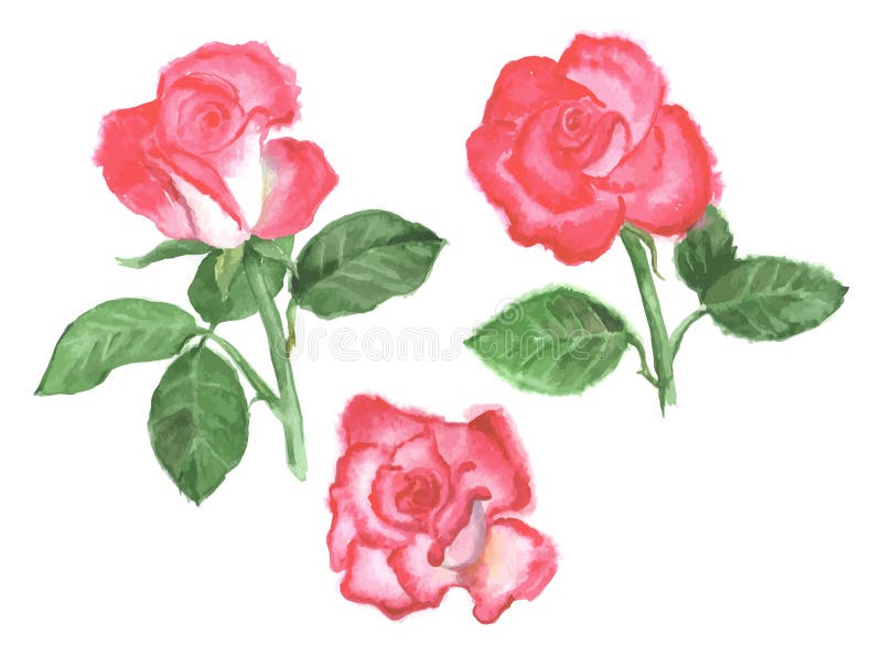 Three roses stock vector. Illustration of beautiful, background - 54851682