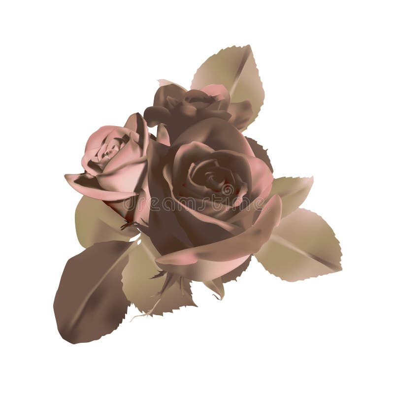 Three Roses of Red Color with Leaves Stock Vector - Illustration of ...