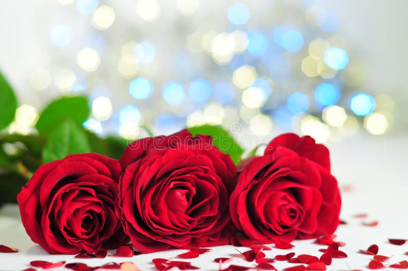 Three Roses between Small Hearts on Lights Background Stock Image ...