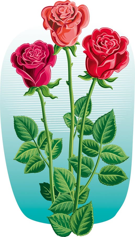 Three Roses with Their Stems and Leaves. Stock Illustration ...