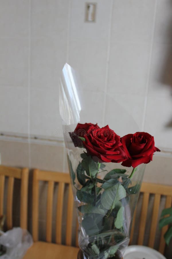 Three Roses Wrapped into Cellophane Stock Photo - Image of bouquet ...