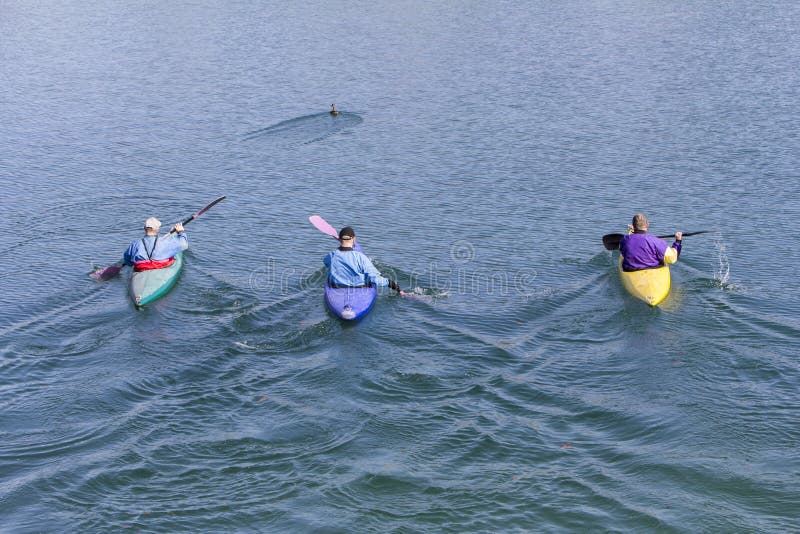 Three rowers with canoe editorial image. Image of challenge - 87588495