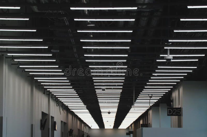 Three Rows of Fluorescent White Light Bars on Airport Concourse Ceiling ...
