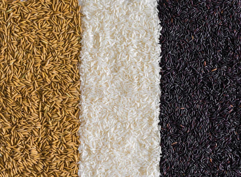 Three Rows of Rice Varieties : Brown Rice, Black Rice, White (jasmine ...