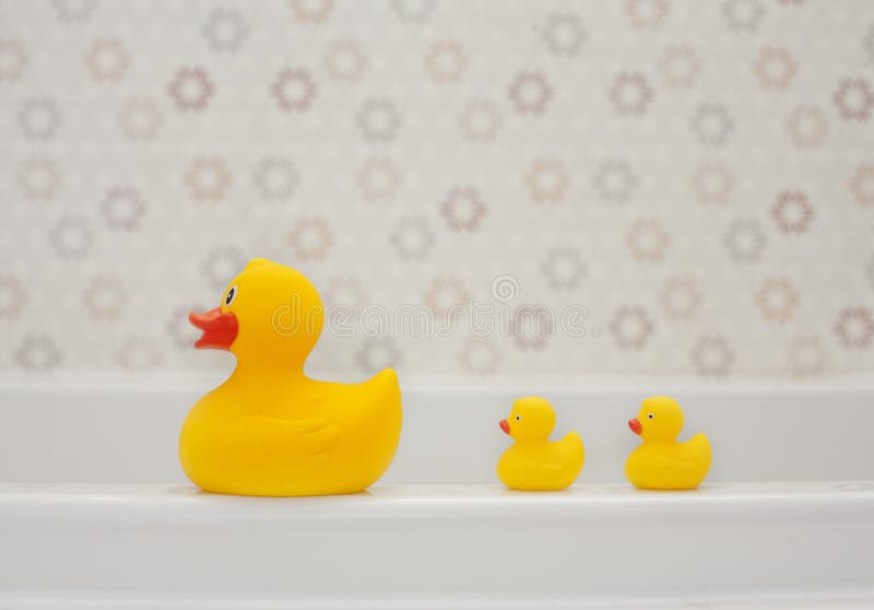 Three rubber ducks stock photo. Image of three, duck - 72839056