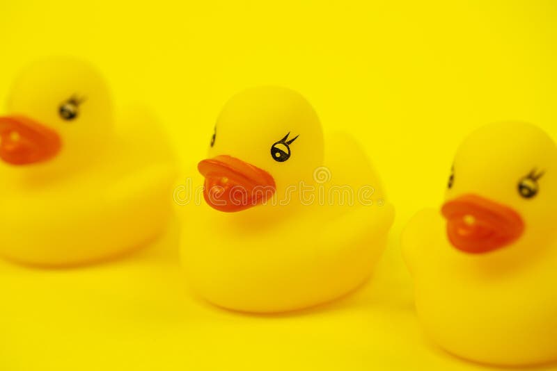 Three Rubber Ducks in Row Isolated on Yellow Background Copy Space ...