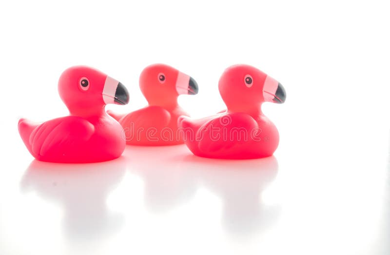 Three Rubber Toy Pink Flamingos Stock Illustration - Illustration of ...