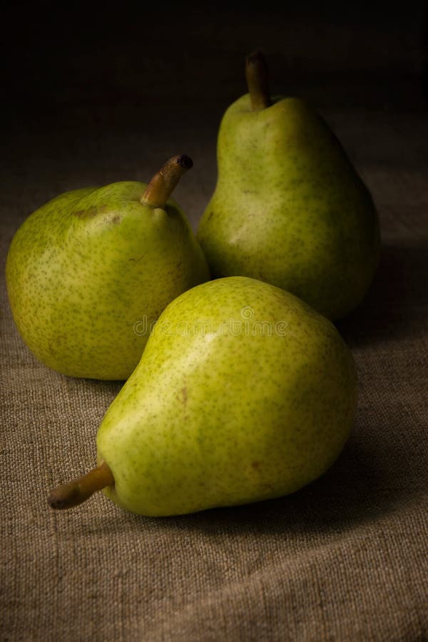Three rustic pears stock photo. Image of rustic, pear - 117773434