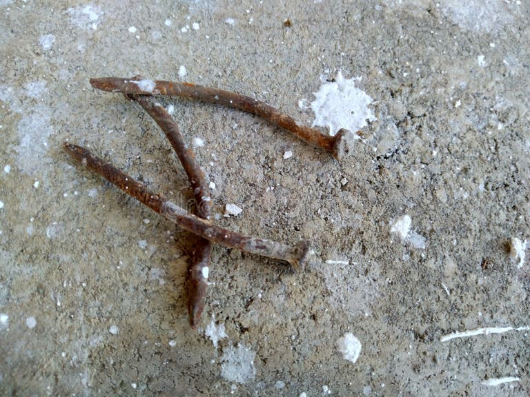 Three Rusty Nails on the Ground Stock Photo - Image of three, tool ...