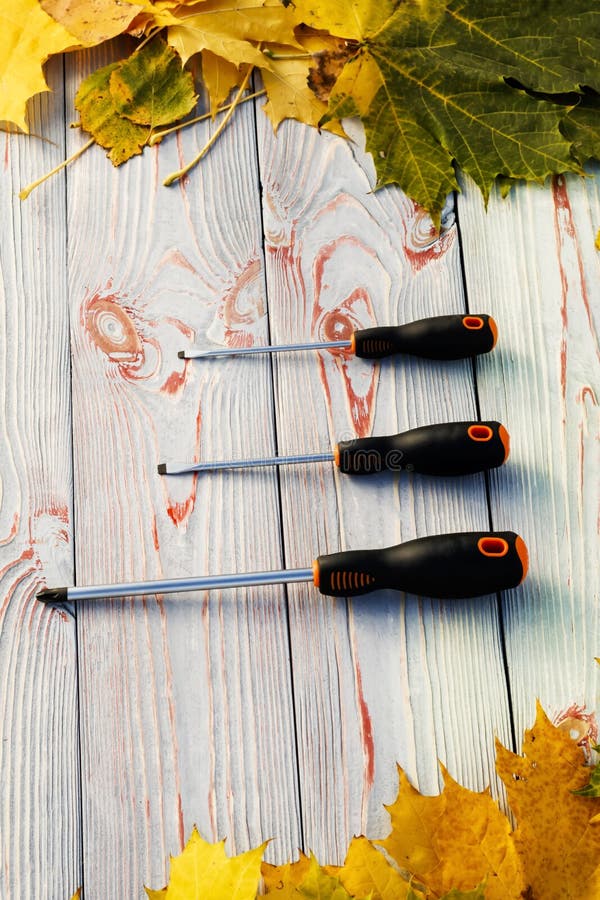 Three Screwdriver or One with Screws in the Shape of a Circle. on a ...
