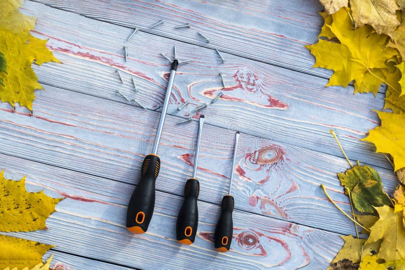 Circle of screwdriver bits stock photo. Image of builder - 661460