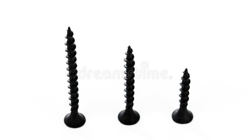 Three Screws of Different Lengths. Selective Focus Stock Photo - Image ...