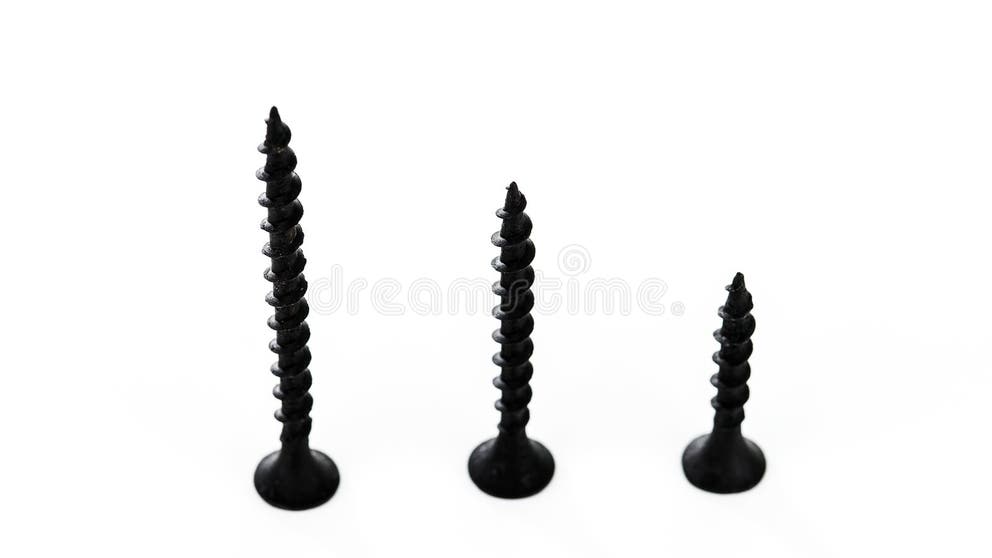 Three Screws of Different Lengths. Selective Focus Stock Photo - Image ...