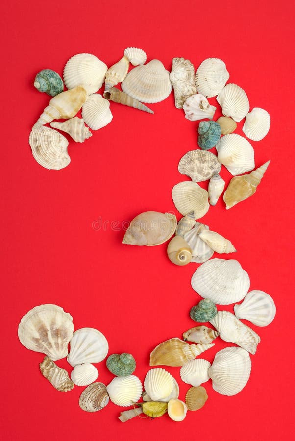Three with sea shells stock image. Image of date, calendar - 7690191